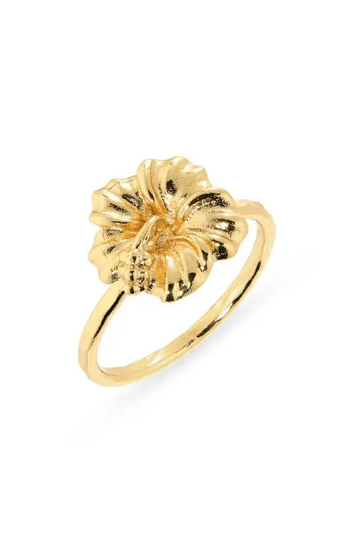 KIARA BY KI-ELE Aloha Hibiscus Ring - Gold