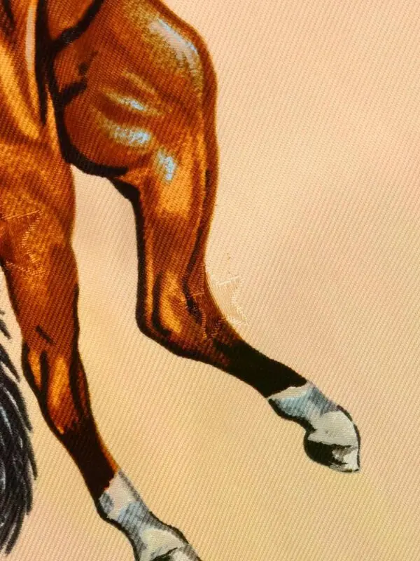 Hermès 2010s En Piste Scarf