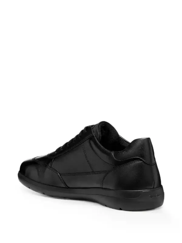 Geox Panelled Lace-up Sneakers
