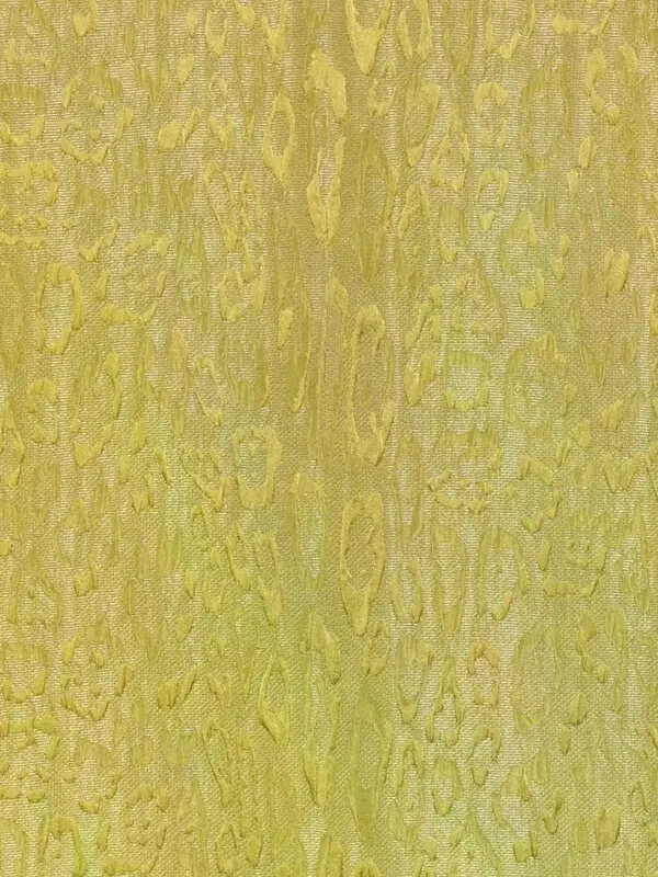 Dior 2000s Fringed Scarf