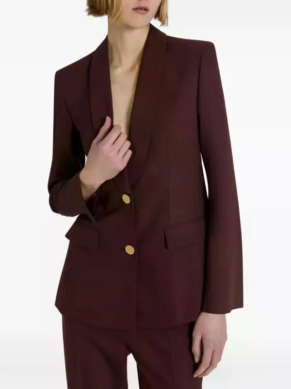 Alberta Ferretti Shawl-lapel Button-up Blazer