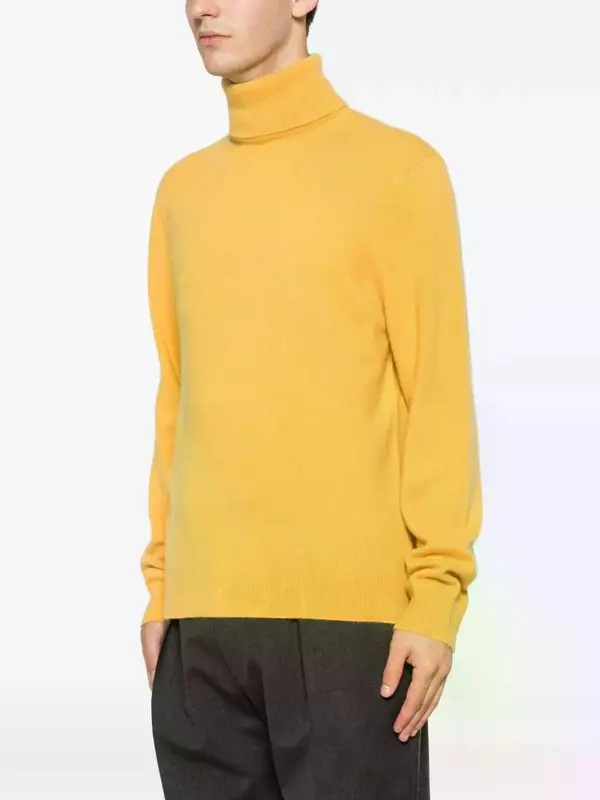 Sandro Turtleneck Sweater