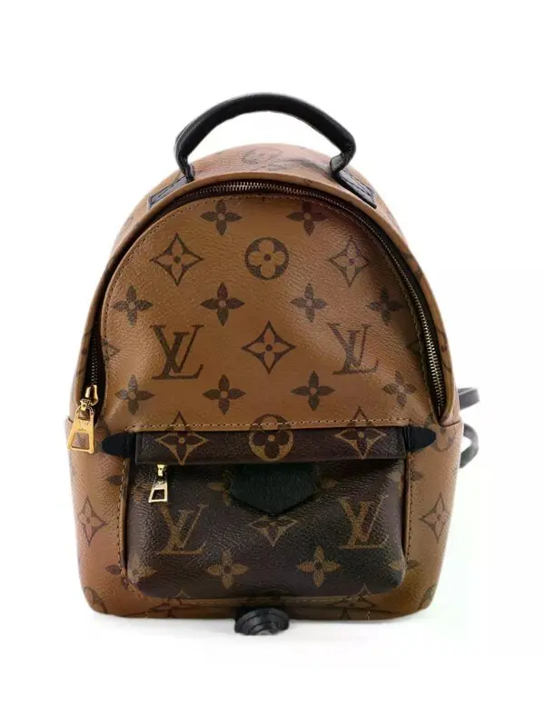 LOUIS VUITTON Palm Springs Mini Backpack - Brown
