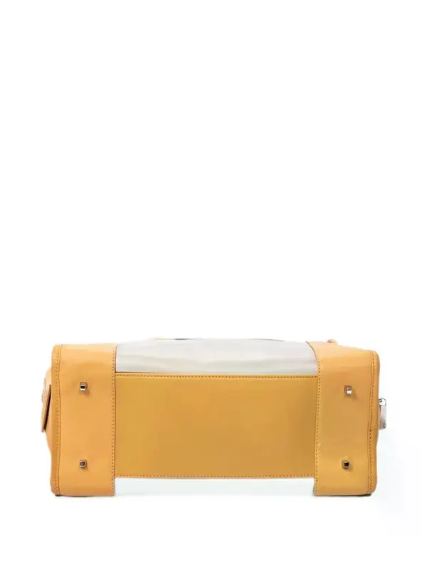 Loewe Amazona Handbag