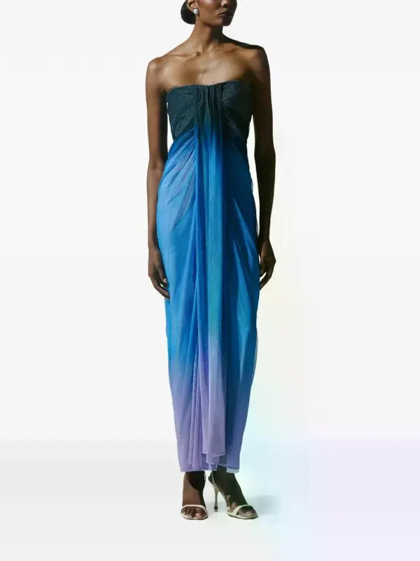 BAOBAB Lena Draped Strapless Maxi Dress - Blue