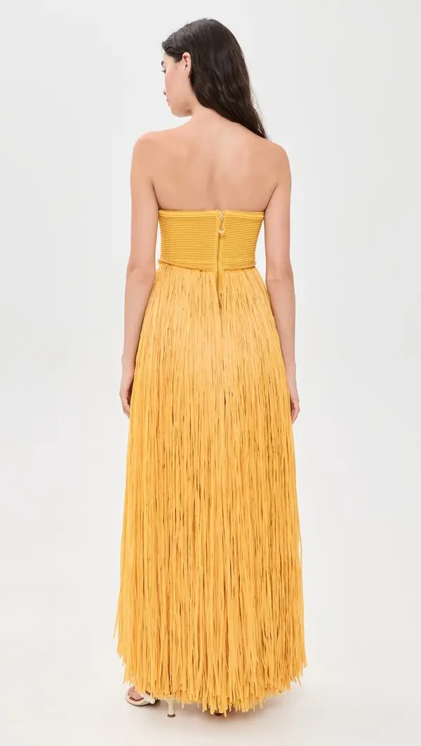Aje Florentia Raffia Maxi Dress