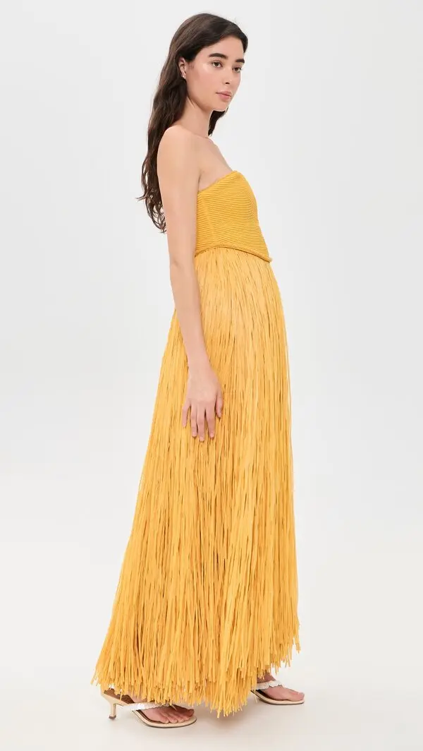 Aje Florentia Raffia Maxi Dress