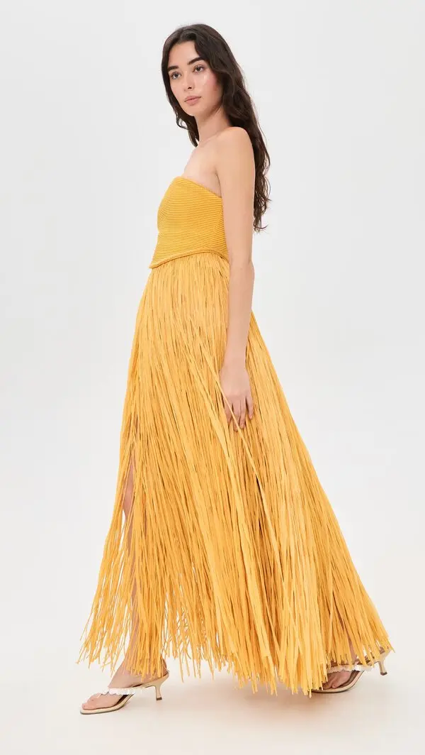 Aje Florentia Raffia Maxi Dress