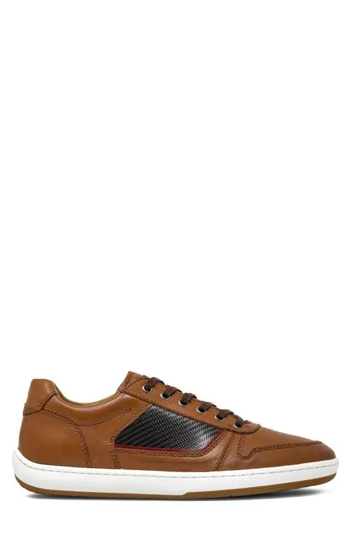PILOTI Compass Sneaker