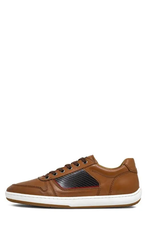 PILOTI Compass Sneaker