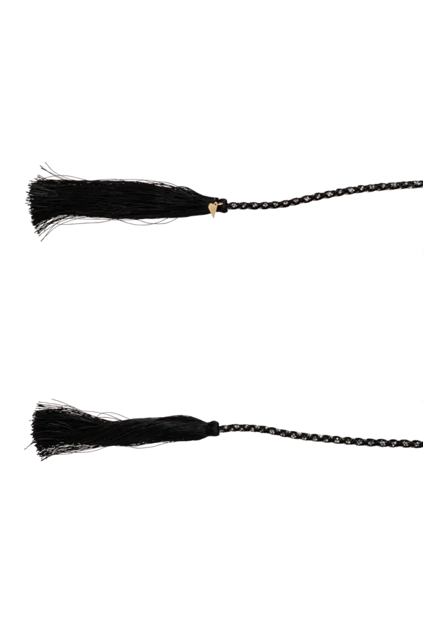 FORTE_FORTE Braided Belt With Shimmering Crystals