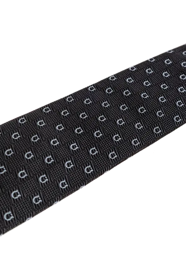 FERRAGAMO Silk Tie