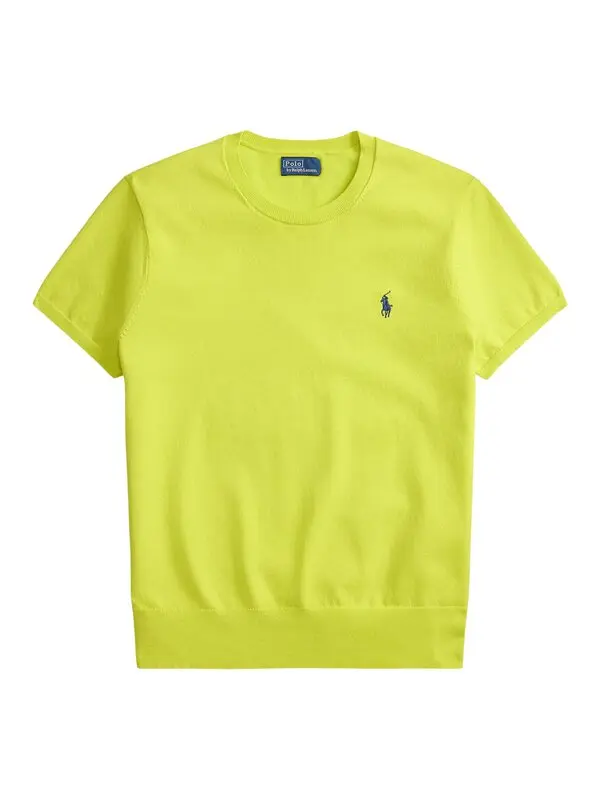 Ralph Lauren Stylish Sweater