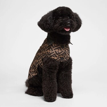 Fendi Dog Coat