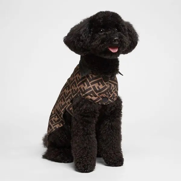 Fendi Dog Coat