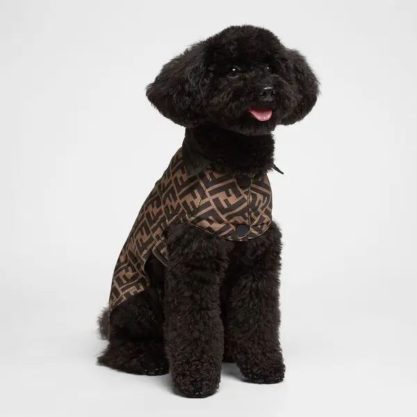 Fendi Dog Coat