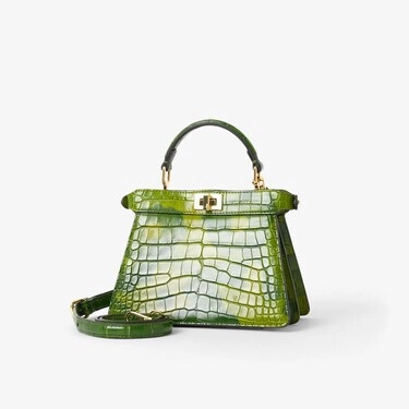 Fendi Peekaboo Iseeu Petite