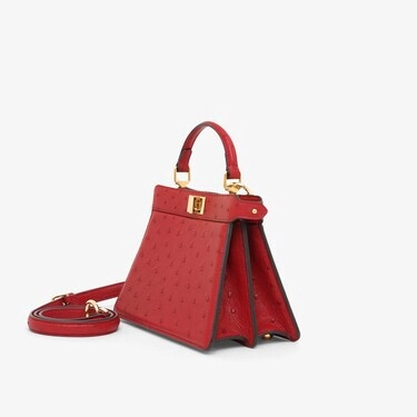 Fendi Peekaboo Iseeu Petite