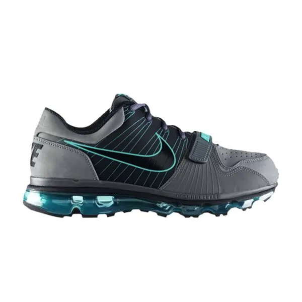 Nike Max Trainer 1+ Low - Grey