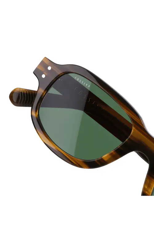 COSSINO Tres Acetate Sunglasses - Brown
