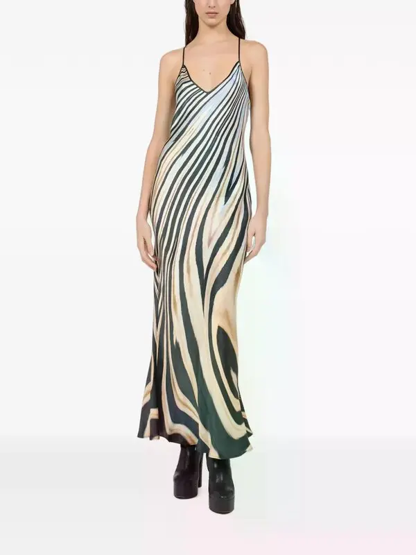 Roberto Cavalli Zebra Print Maxi Dress