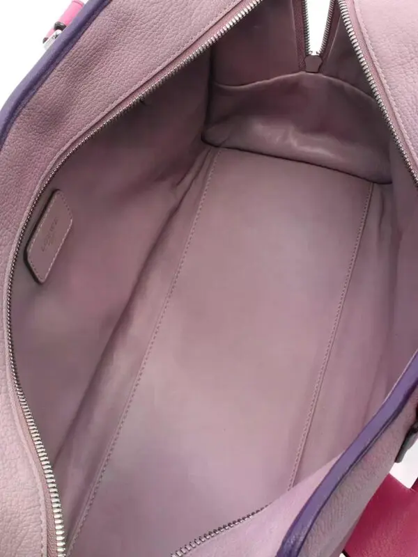 Loewe Tricolor Goatskin Amazona 36 Handbag - Purple