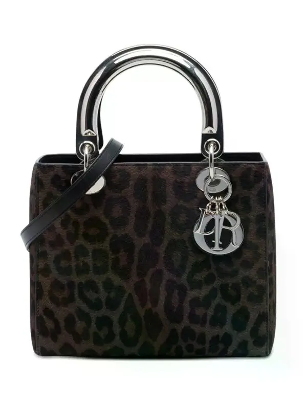 Dior 2014 Medium Pony Hair Leopard Print Lady Satchel - Brown