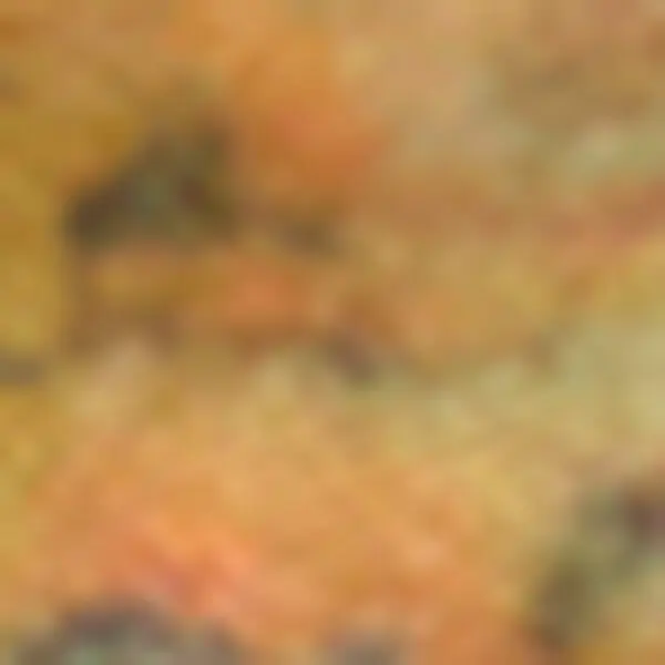 Max Mara Silk Printed Square Scarf