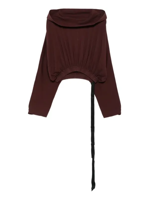 Balmain Hoodie - Brown