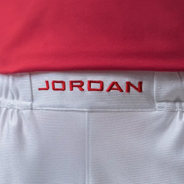 JORDAN Brooklyn Cat Scratch Basketball Shorts
