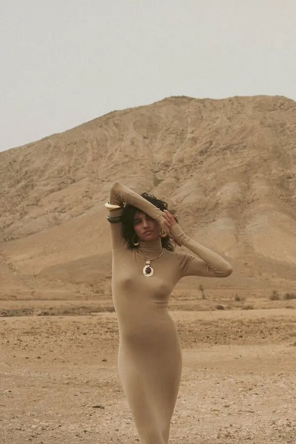 SAME Shimmer Mockneck Dress