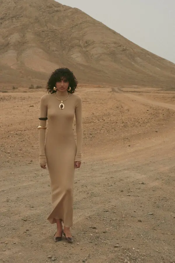 SAME Shimmer Mockneck Dress