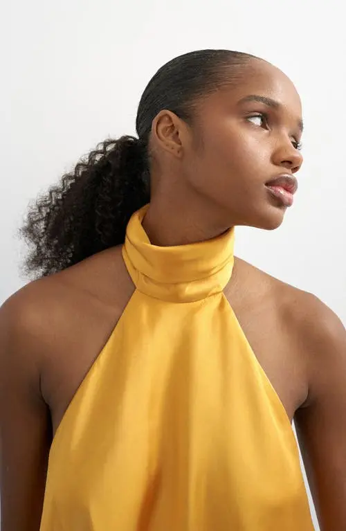 Topshop Backless High Neck Halter Top