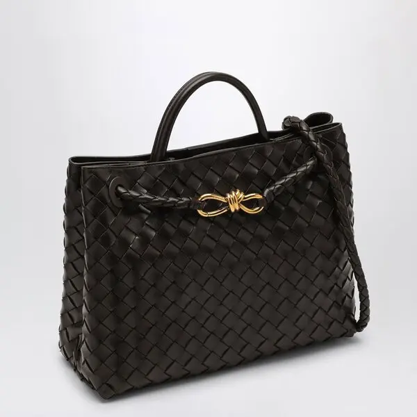 Bottega Veneta Andiamo Medium Bag - Brown