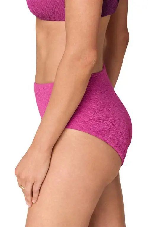 ANDIE High Rise Bikini Bottoms