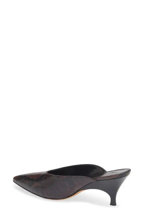 Le Monde Beryl Petra Mule