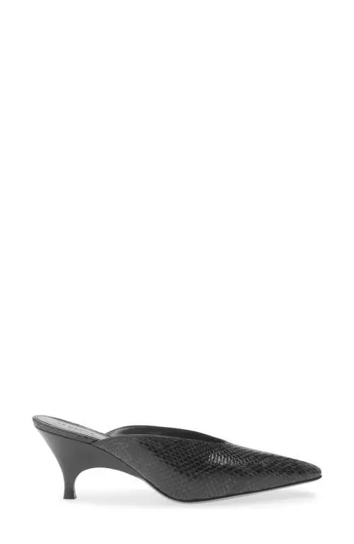 Le Monde Beryl Petra Mule