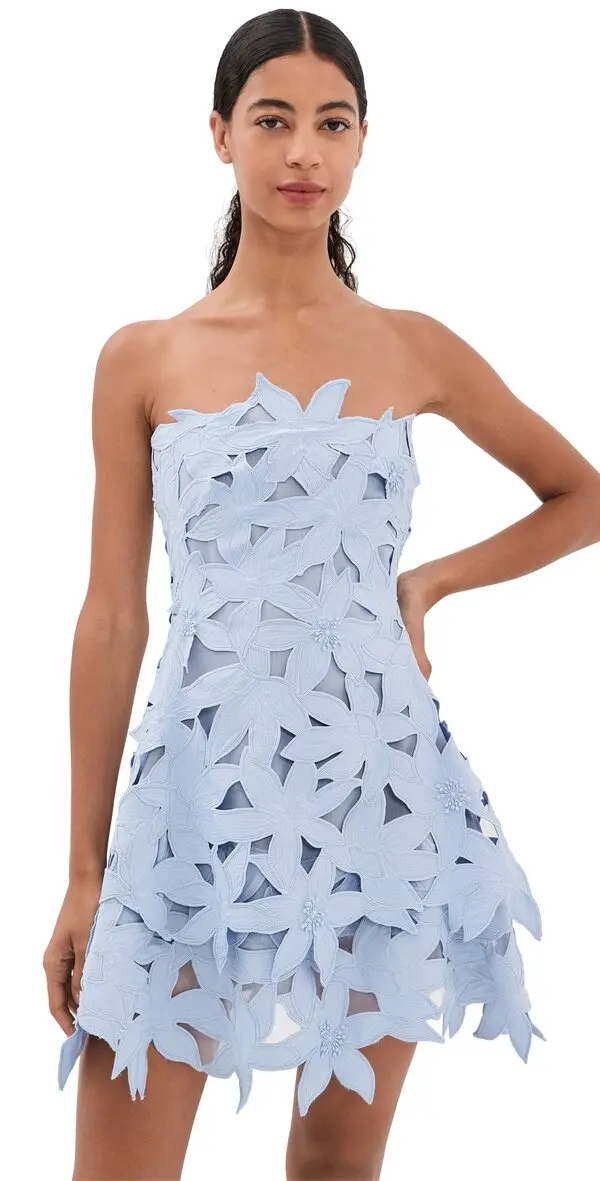 Simkhai Miri Bustier Mini Dress