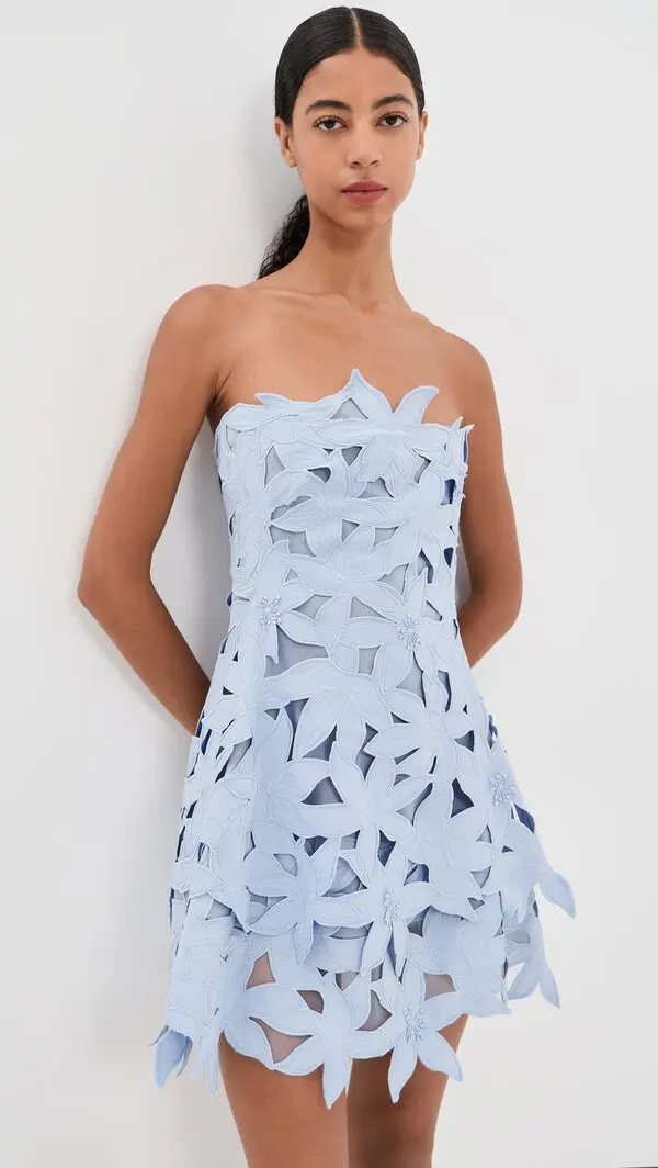 Simkhai Miri Bustier Mini Dress