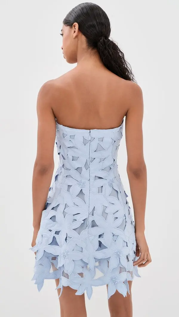 Simkhai Miri Bustier Mini Dress
