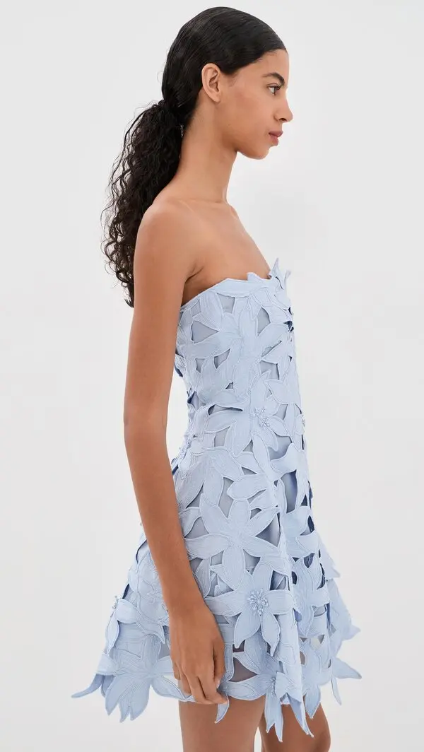 Simkhai Miri Bustier Mini Dress