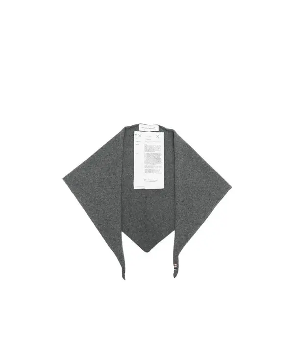 Extreme Cashmere N35 Triangular Scarf