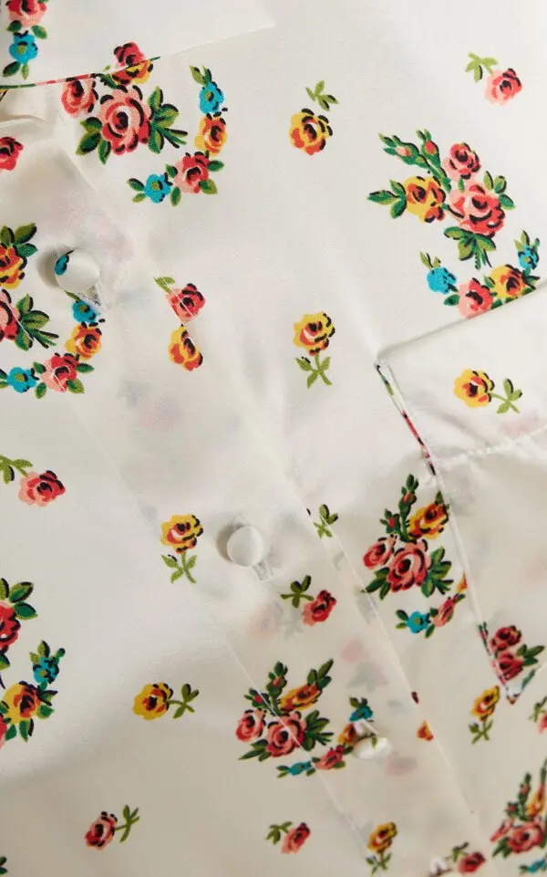 Françoise Blake Silk-blend Shirt