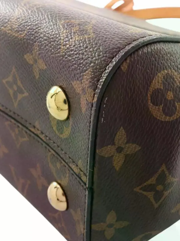 LOUIS VUITTON 2018 Monogram Cluny Mm Satchel