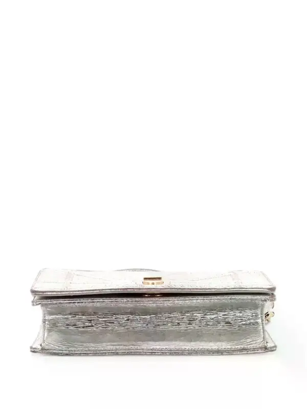 Dior Diorama Flap Bag Crackled Deerskin Small Shoulder Bag
