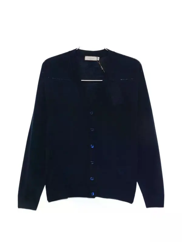 Canali Button-fastening V-neck Cardigan