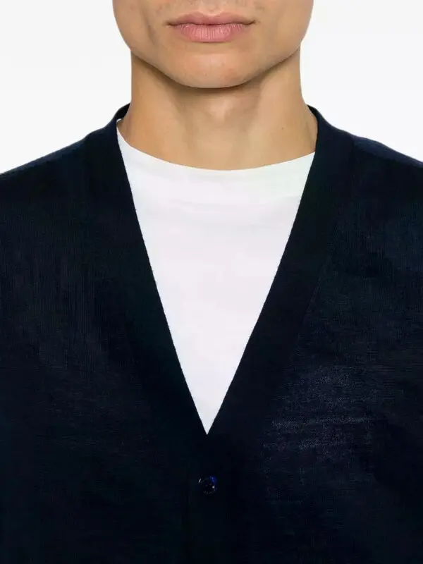 Canali Button-fastening V-neck Cardigan