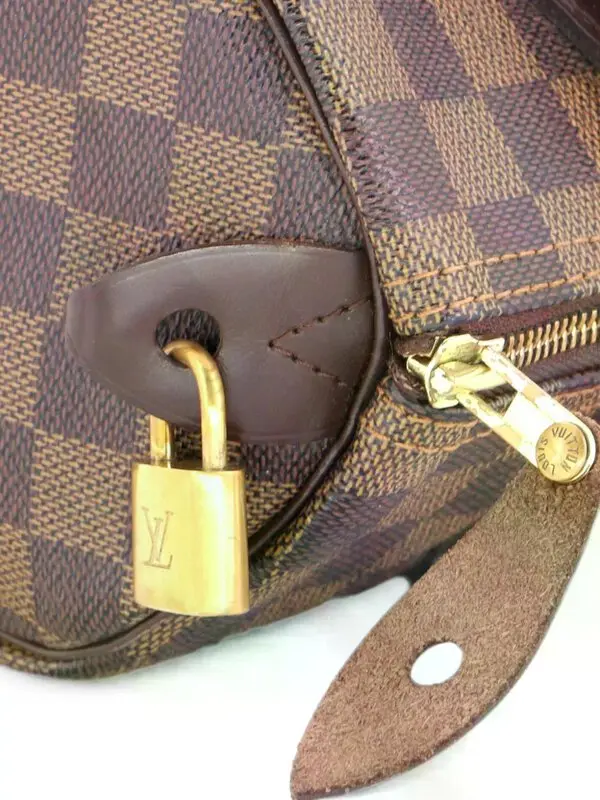 LOUIS VUITTON Speedy Satchel - Brown