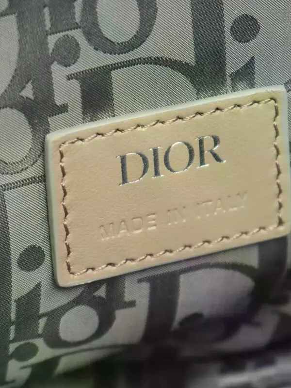 Dior Saddle Body Bag