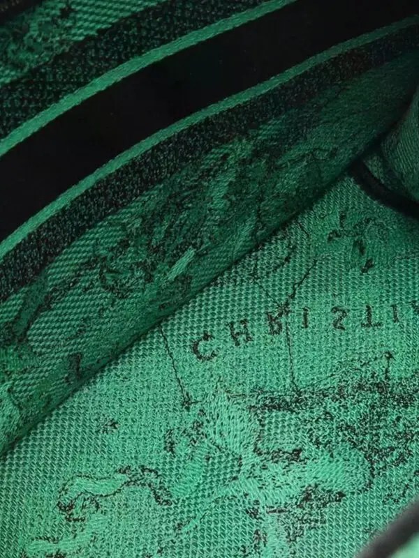 Dior Medium Embroidered Canvas Book Tote Bag - Green